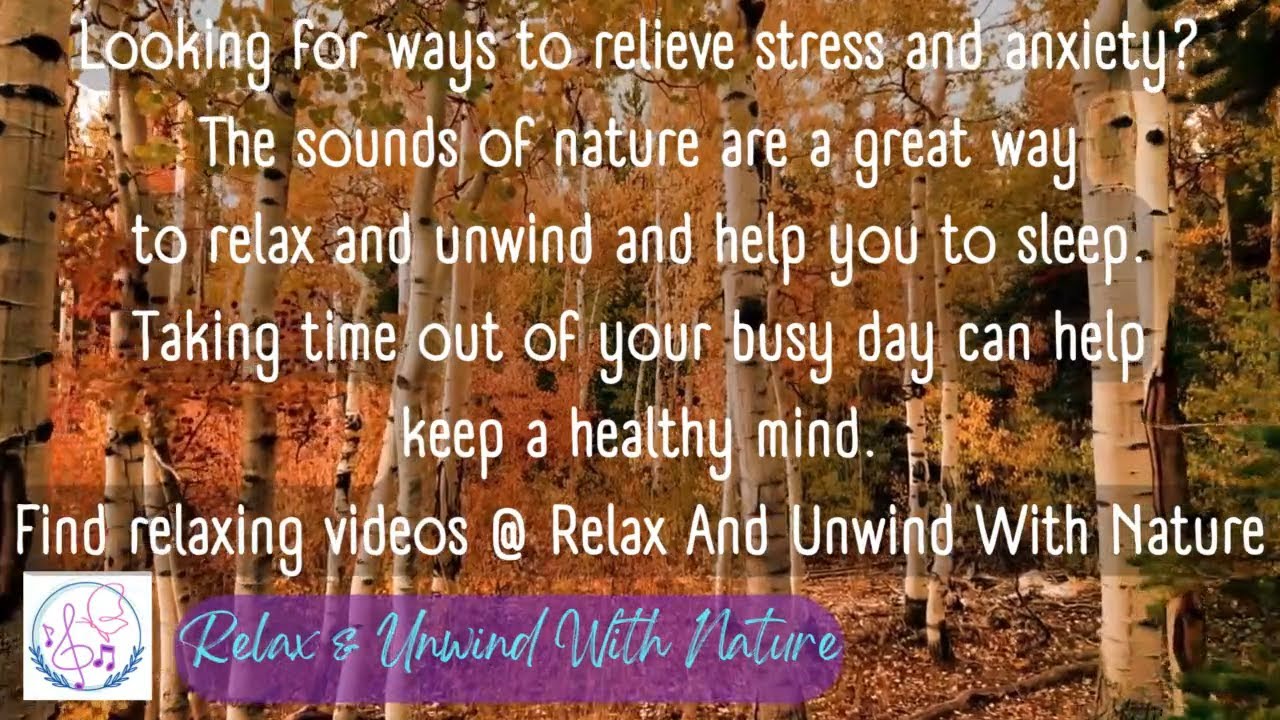 Relax And Unwind With Nature | Calming Nature Sounds And Visuals For ...