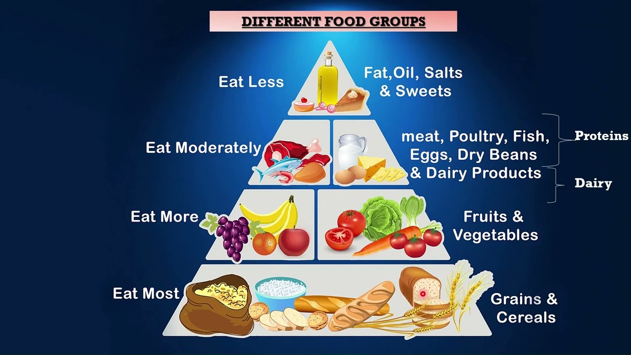 Class 6 Science Chapter 1 Food Where Does It Come From Class 6 Science Chapter 1 Food Where Does It Come From
