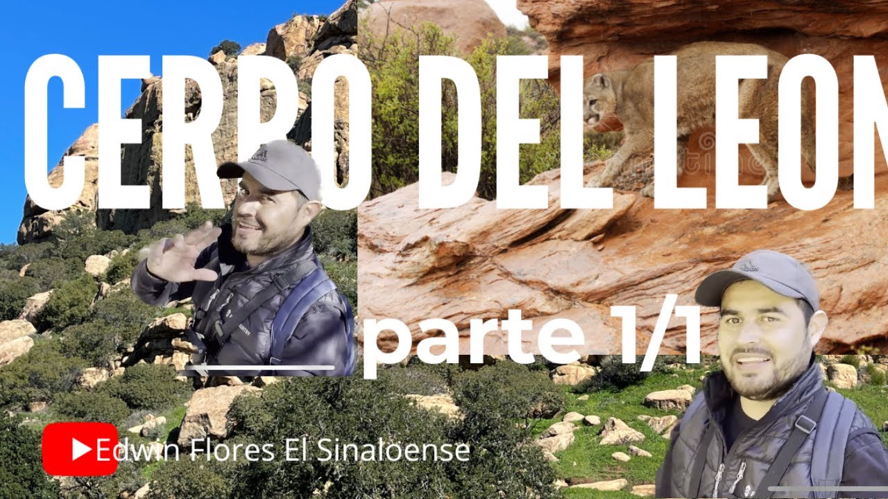 Aventura en el Cerro del Leon Prte 1/1 Edwin Flores El Sinaloense 👌💯😊 - YouTube