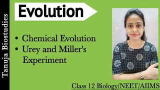 Chemical Evolution-Origin of Life|Urey u0026 Miller Exp... | Doovi