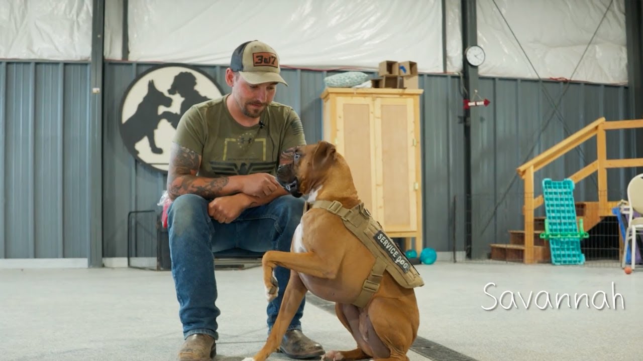 A Dog Can Make a Difference - Winning Service Dog Salute Film at NY Dog ...