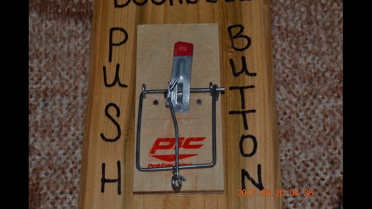 REDNECK DOORBELL Handcrafted in Southern Alabama Size 4x8 inch - YouTube