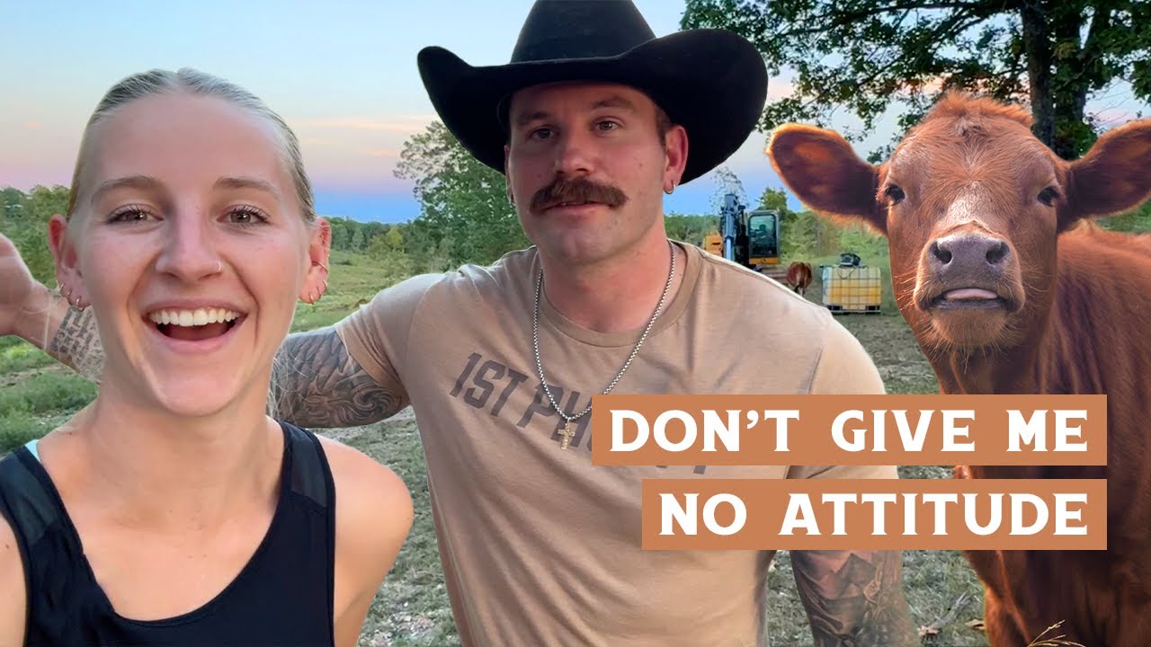 I Tried Dealing with Angry Cows on a Ranch - YouTube