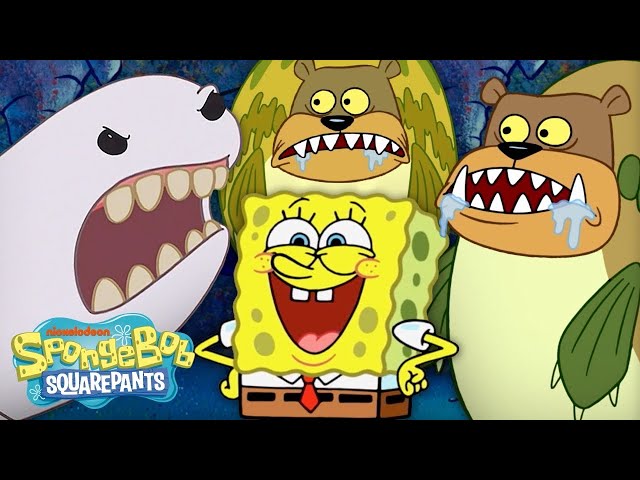 Spongebob Sea Bear