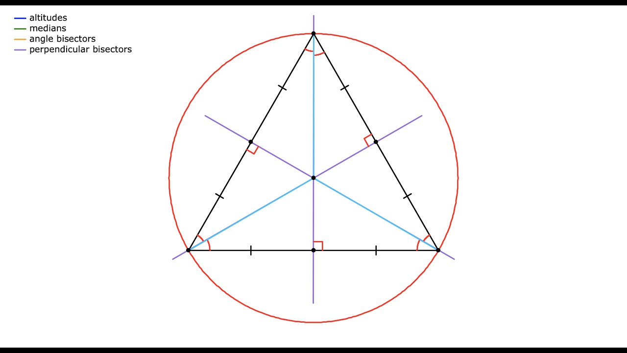 Important lines in all types of triangles | Altitudes, medians, angle ...
