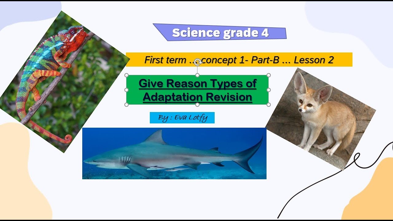 Science grade 4.Lesson 2.PART 2.Give Reason Types of Adaptation ...
