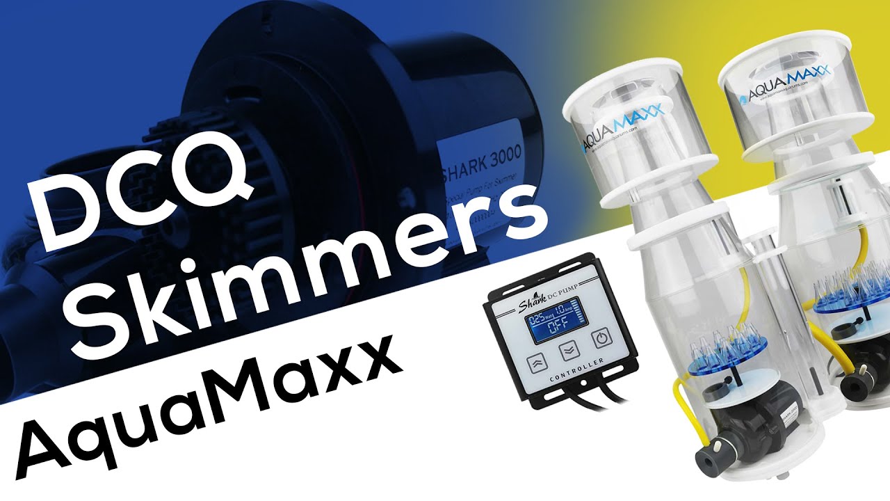 Bringing DC Control To Your Filtration: The AquaMaxx DCQ Skimmers - YouTube