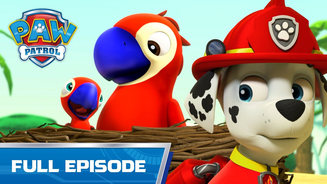 Marshall Saves a Lost Parrot - 212 - PAW Patrol Full Episode - Cartoons ...