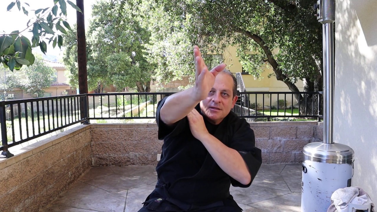 Te-Kempo-Jujitsu, Sensei Mike Pecina, Hand techniques - YouTube