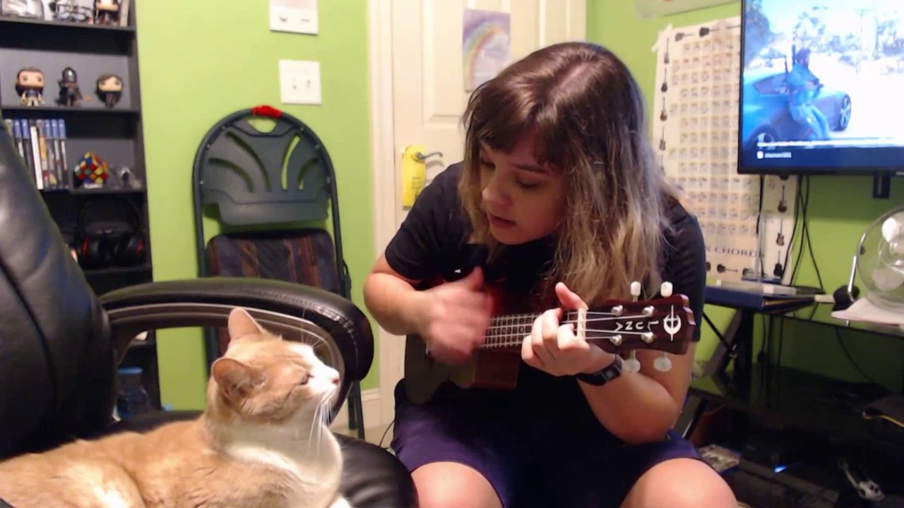 SINGING TO MY CAT | Somewhere Only We Know - Cover by Shay Mac - YouTube