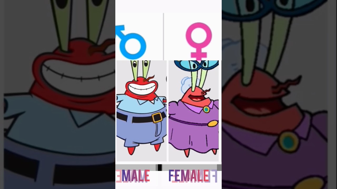 Spongebob gender edit /bob esponja cambio de genero #shorts #Spongebob ...