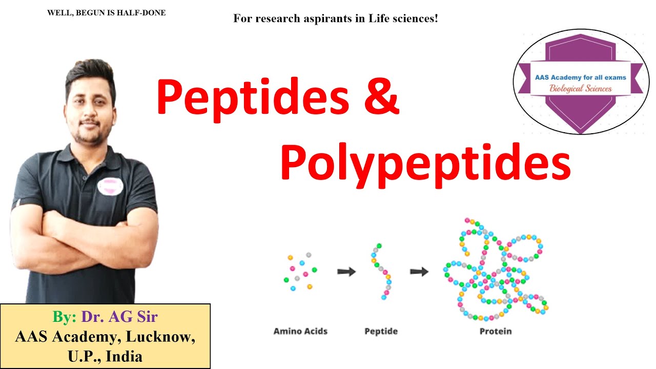 Peptides and Polypeptides | Complete Explanation by A.G. Sir | Protein ...