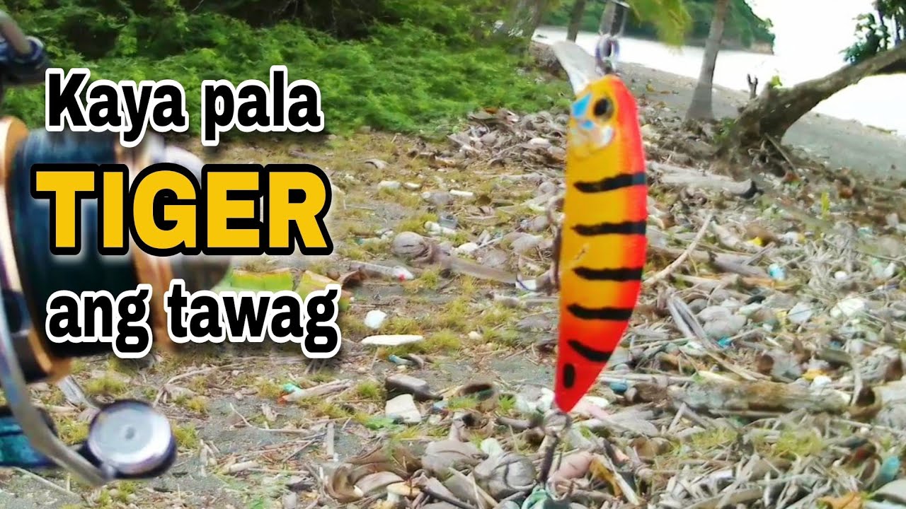TIGER MINNOW lure - YouTube