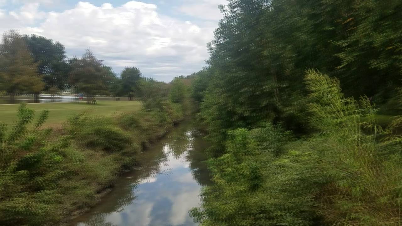Nature Montage - YouTube