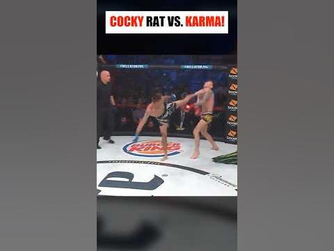 Cocky Rat Got Instant Karma! - YouTube