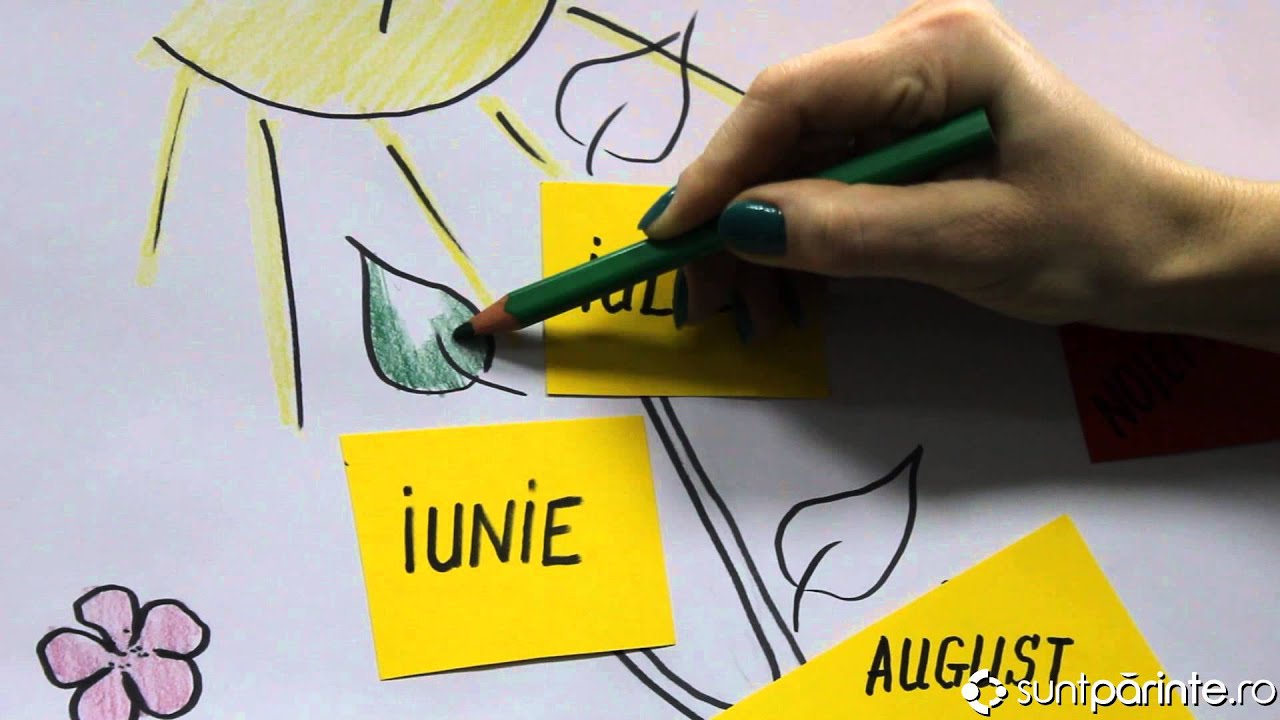 Copacul anotimpurilor - YouTube