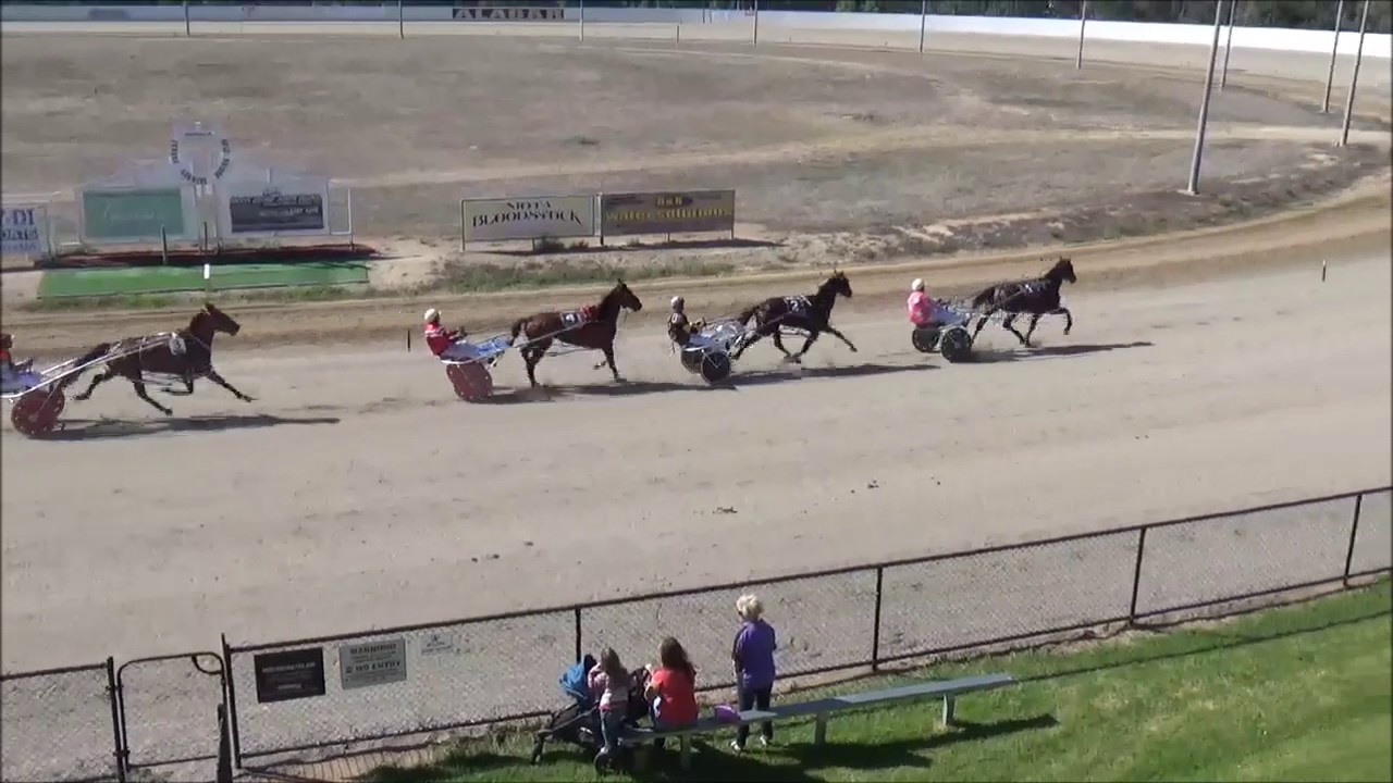 Echuca Harness Racing Club Trial 3 26th Feb 2017 - YouTube