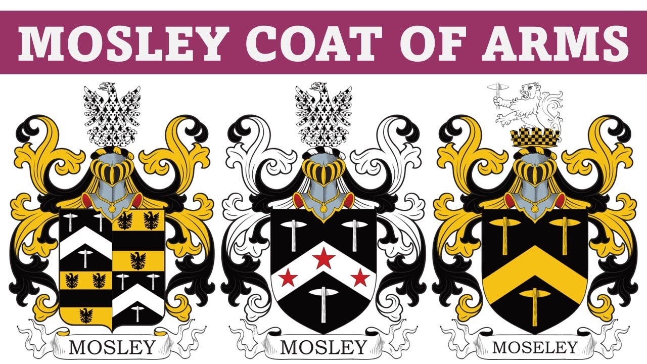 Mosley Coat of Arms & Family Crest - Symbols, Bearers, History - YouTube