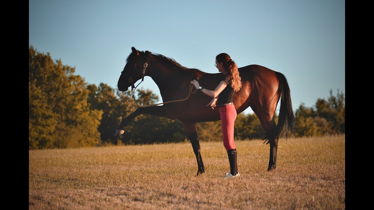 Bienvenue Kerza ! - YouTube