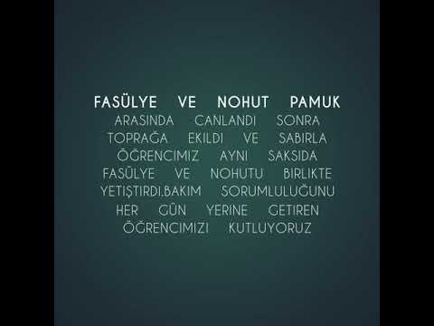 Sorumluluk nohut ile fasülyeyi aynı saksıda sabırla yetiştirip ürünleri görebilmektir.