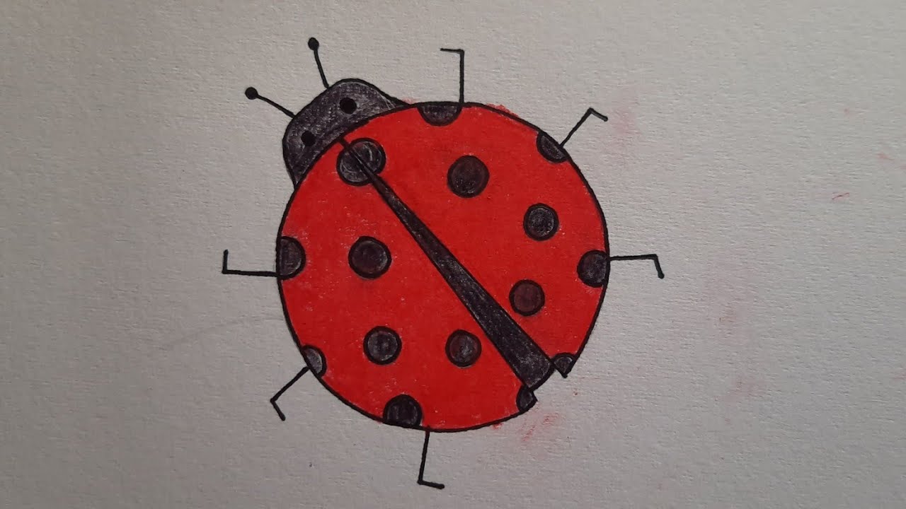 How to draw Ladybug l How to paint Ladybug l Easy Ladybug drawing step ...