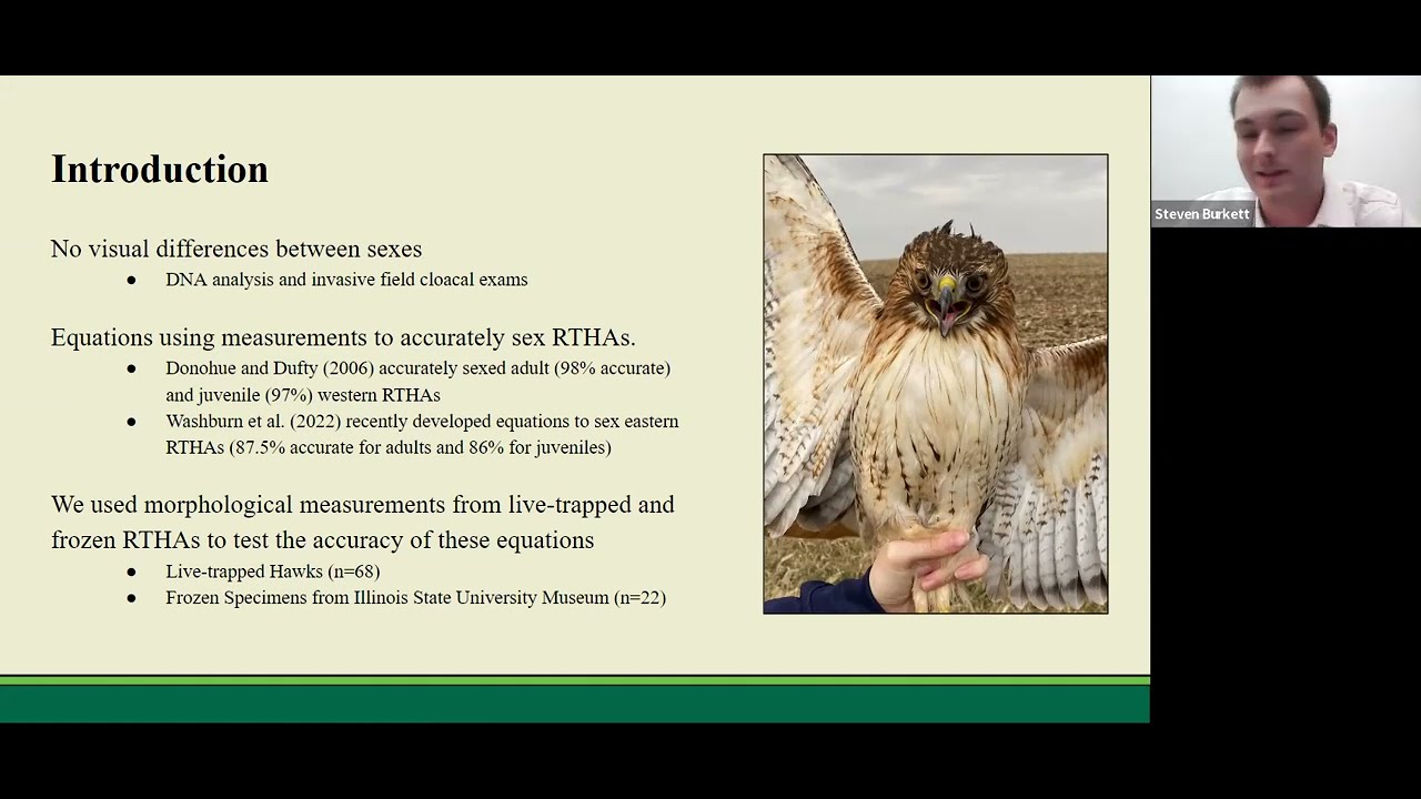 DBC Meeting: Red-tailed Hawks in Illinois with Steven Burkett and Dr ...
