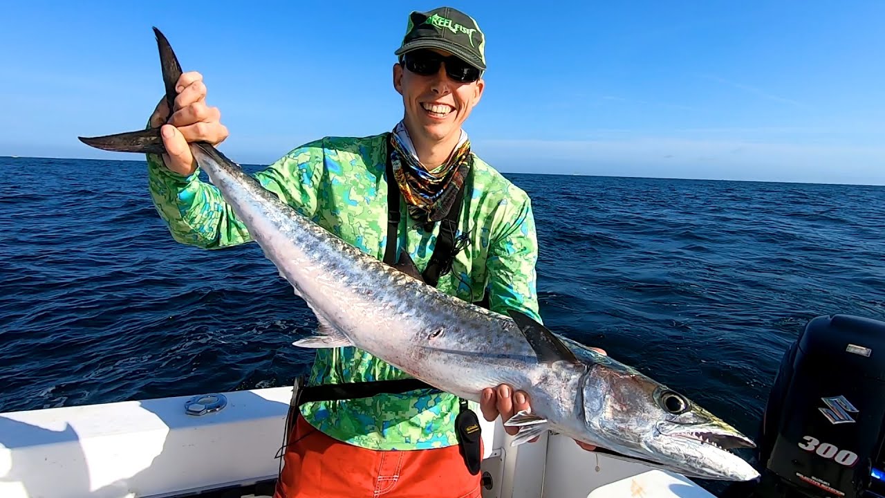 Cobia, Kingfish, and Big Shark Around the Boat - YouTube
