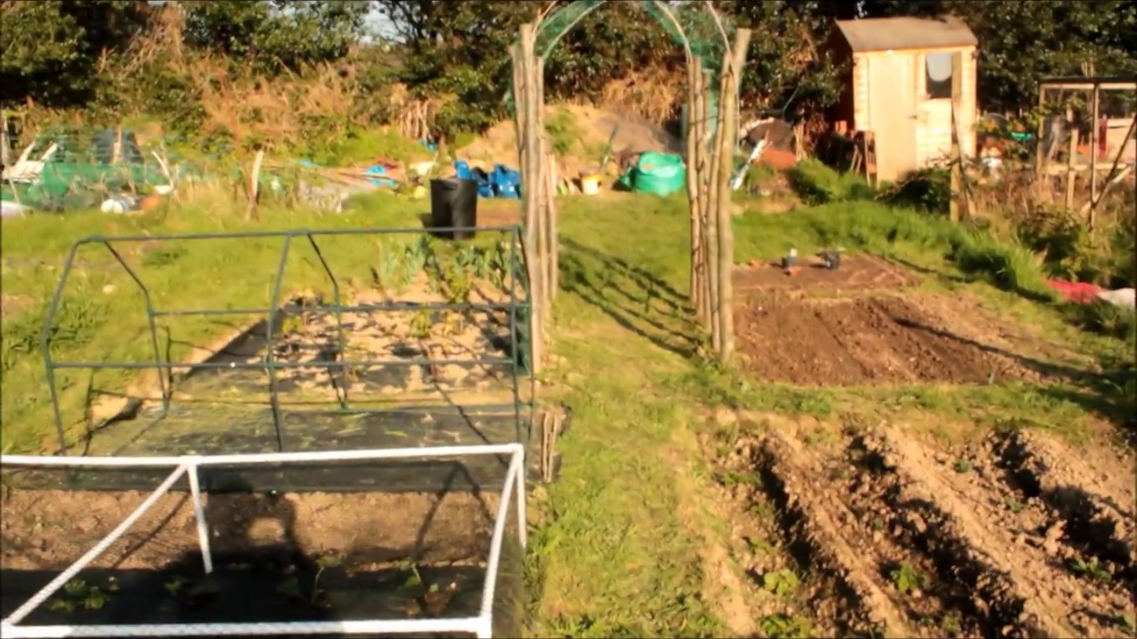 Plot 7a Spring Allotment Update - YouTube