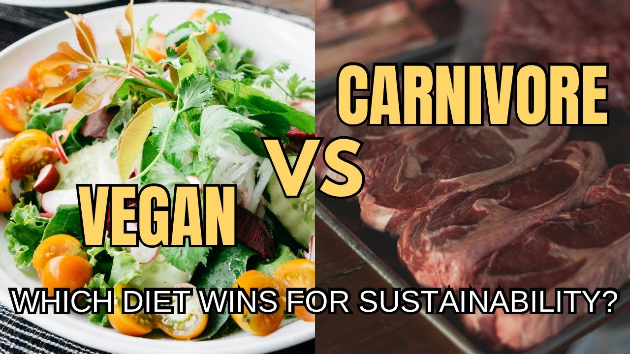 VEGAN VS. CARNIVORE: WHICH DIET WINS FOR SUSTAINABILITY? #healthyliving ...