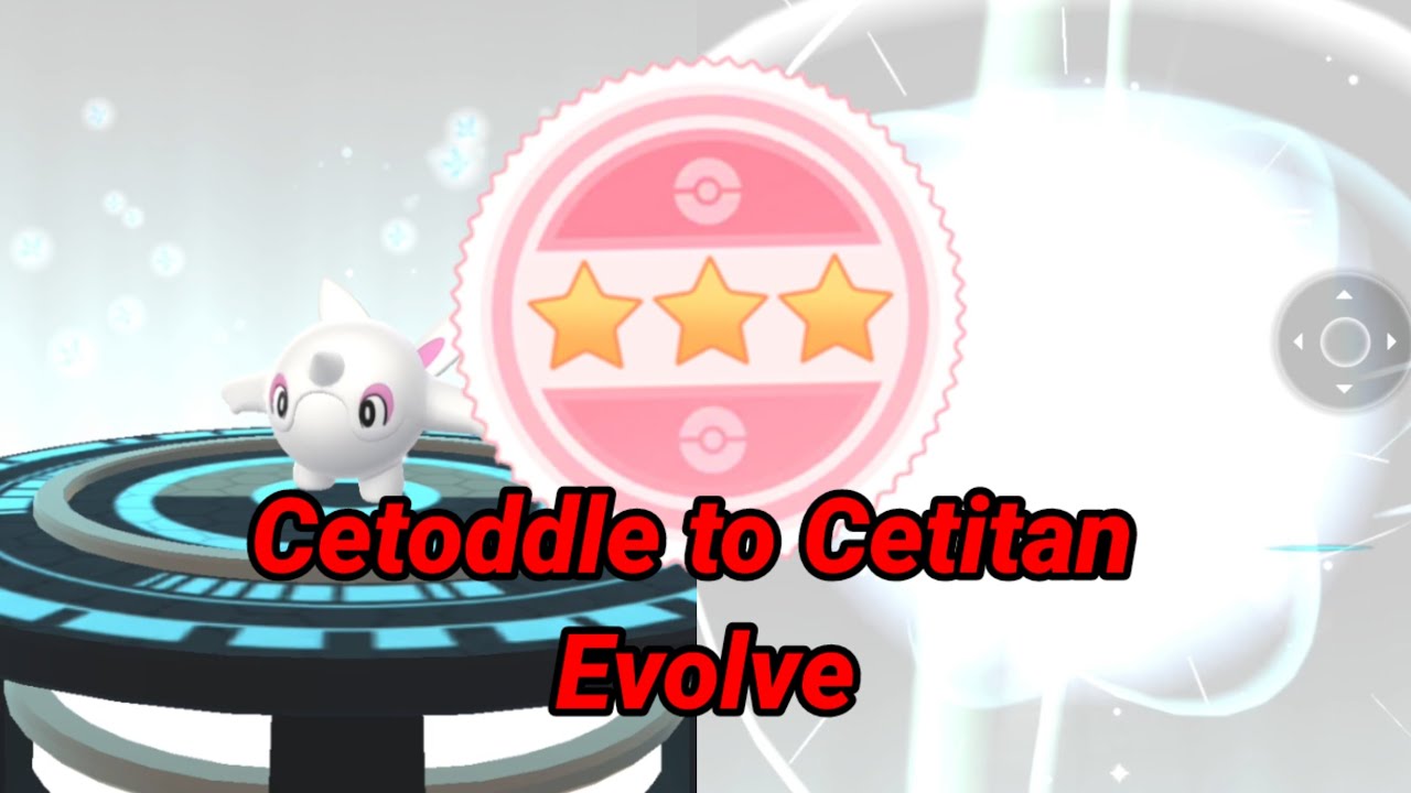 100IV Cetoddle evolve to Cetitan Ice type Pokemon - YouTube