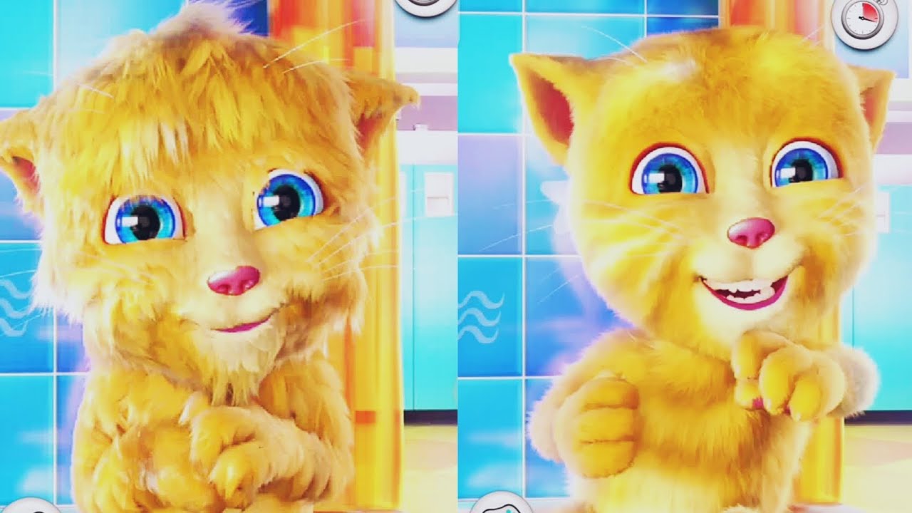 My Talking Ginger tooth brush 🦷🖌️🐈🥝🍉🍓🚿🐾🍒🙀😸#talkingginger #talkingtom # ...