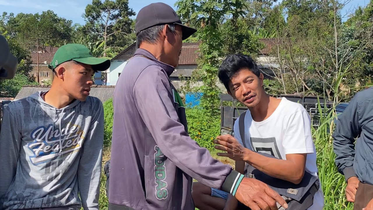 NEGO ALOT MAS GALIH VS PAK TUKUL‼️SAPI METAL MONCONG 50JT - YouTube