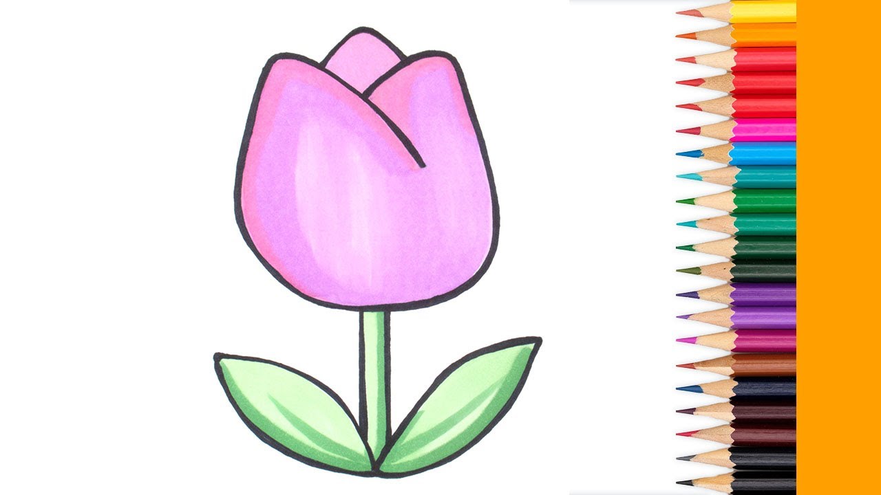 Hogyan rajzoljunk tulipánt?🌷 | Rajzoktatás ovisoknak - YouTube
