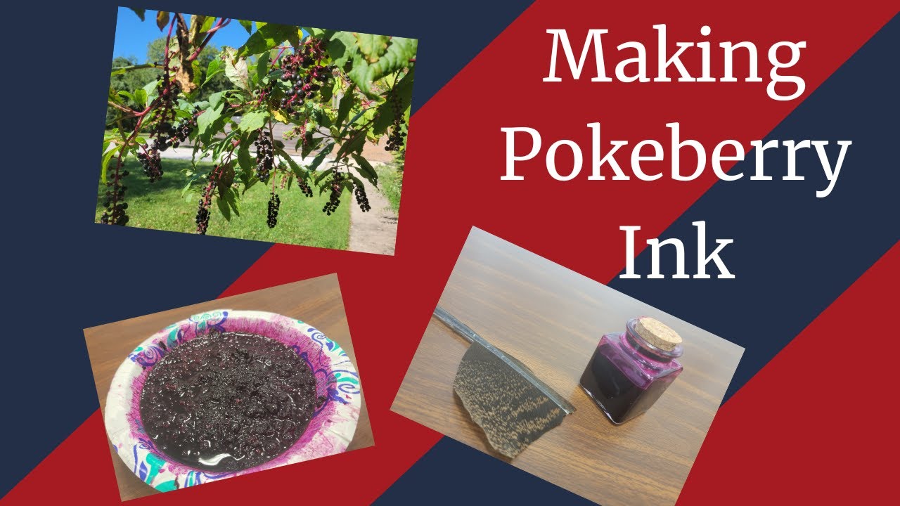 Making Pokeberry Ink - YouTube