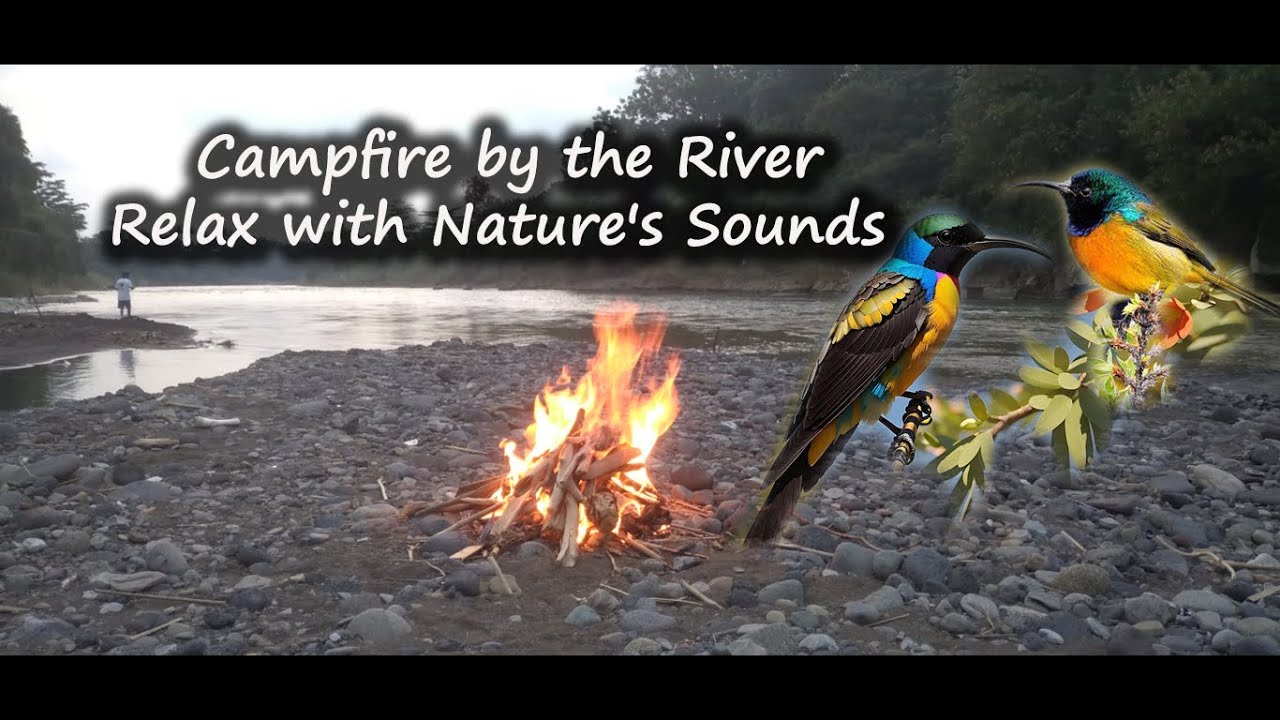 Nature's Harmony || Building a Campfire by the Riverbank with Peaceful ...