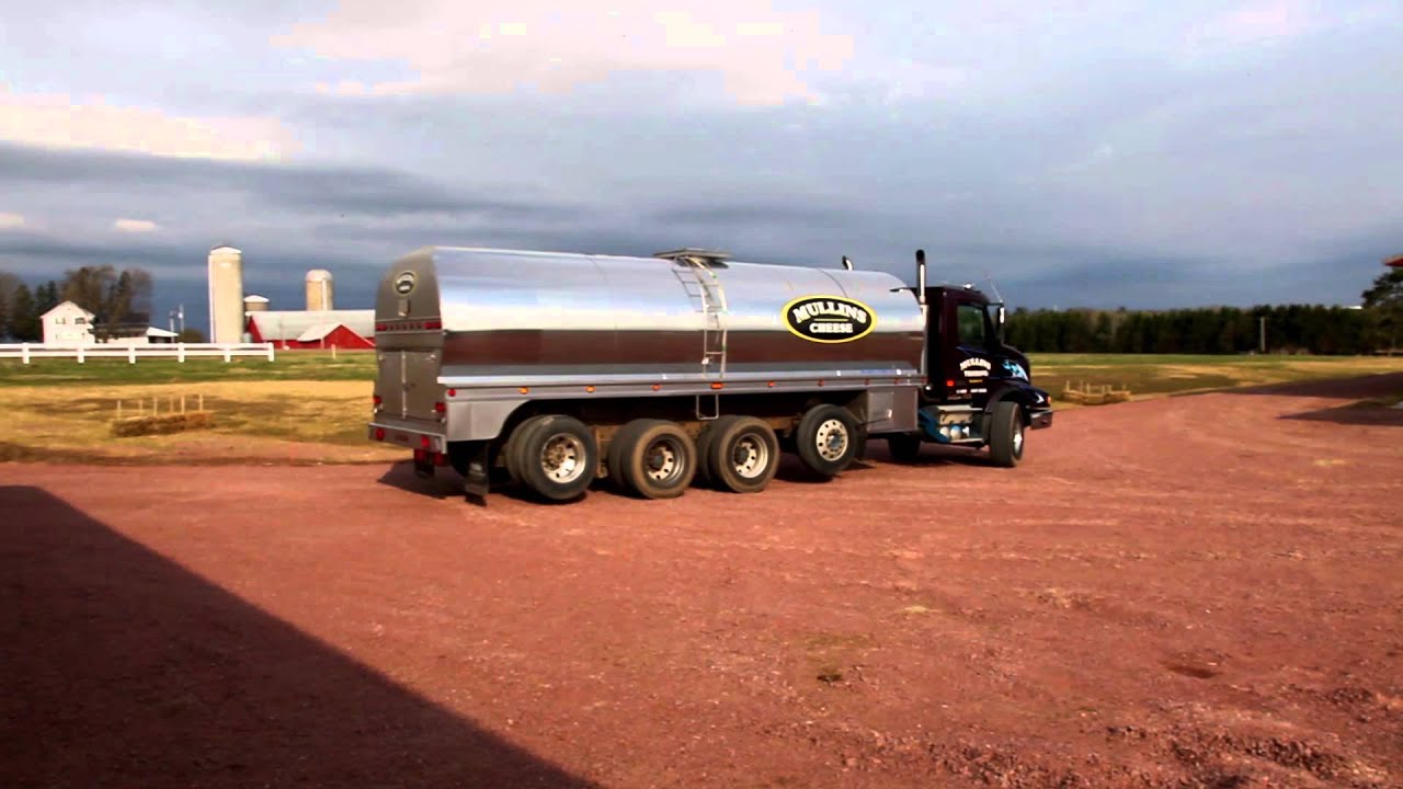 A Day on the Farm - Milk Collection - YouTube