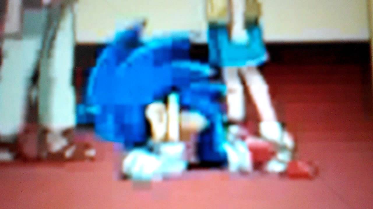 Sonic crawling - YouTube