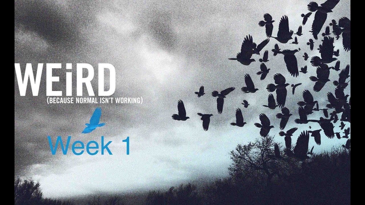Weird - Week 1 - YouTube