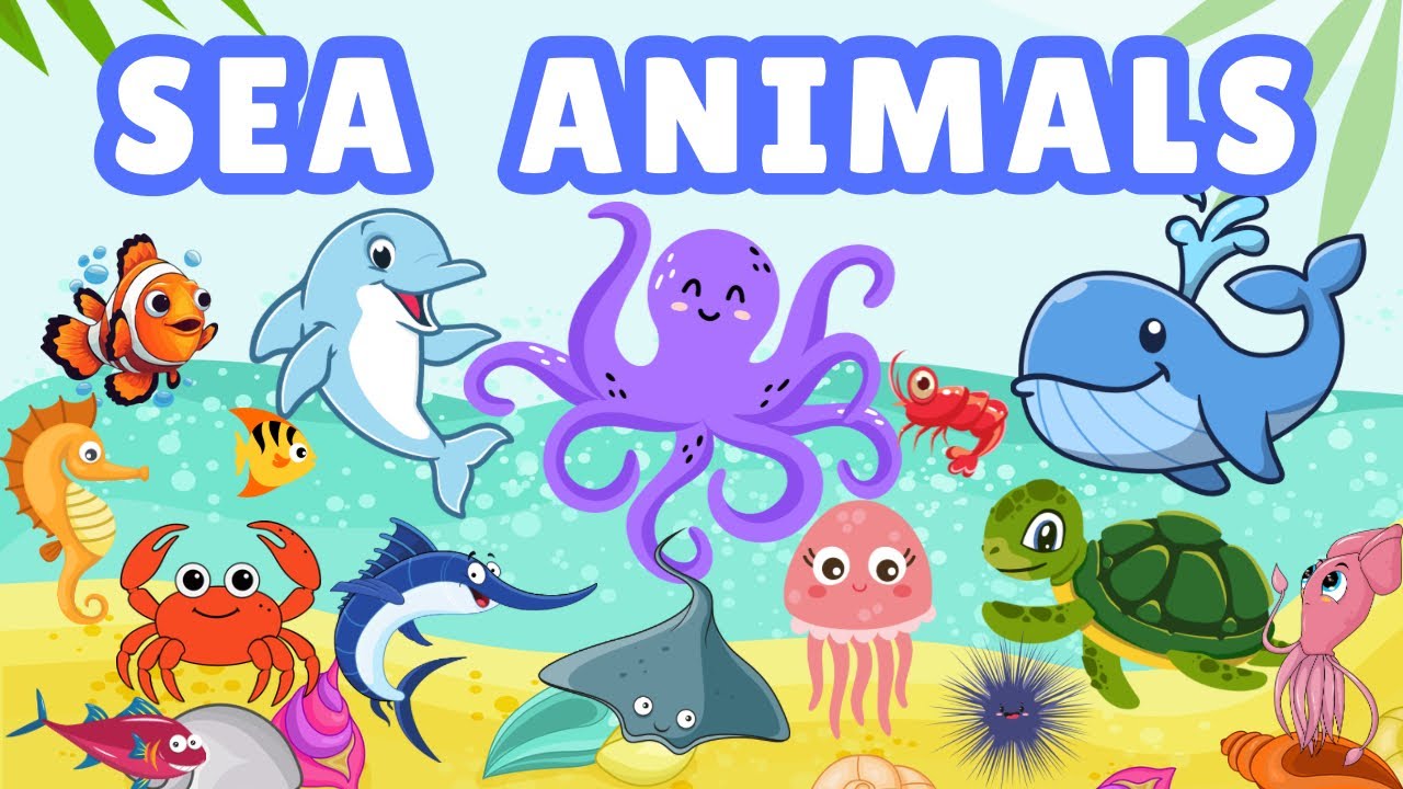 Learn SEA ANIMALS in Flashcards + Real Life Videos | Toddler Learning ...
