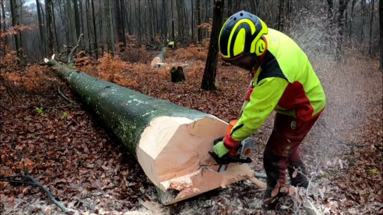 Ťažba dreva na blízko a malá porucha na Orvexe, Forestwork, Logging ...