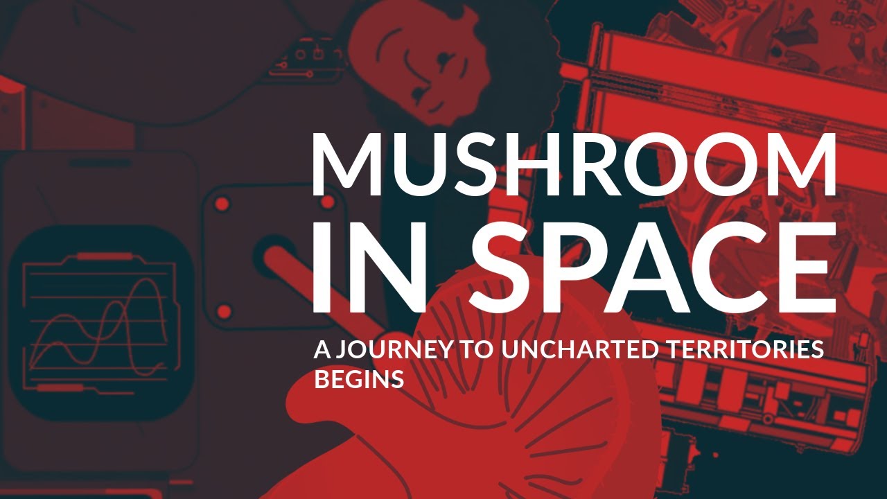 Mushroom in Space: How Fungi Could Change the Future of Space Travel ...
