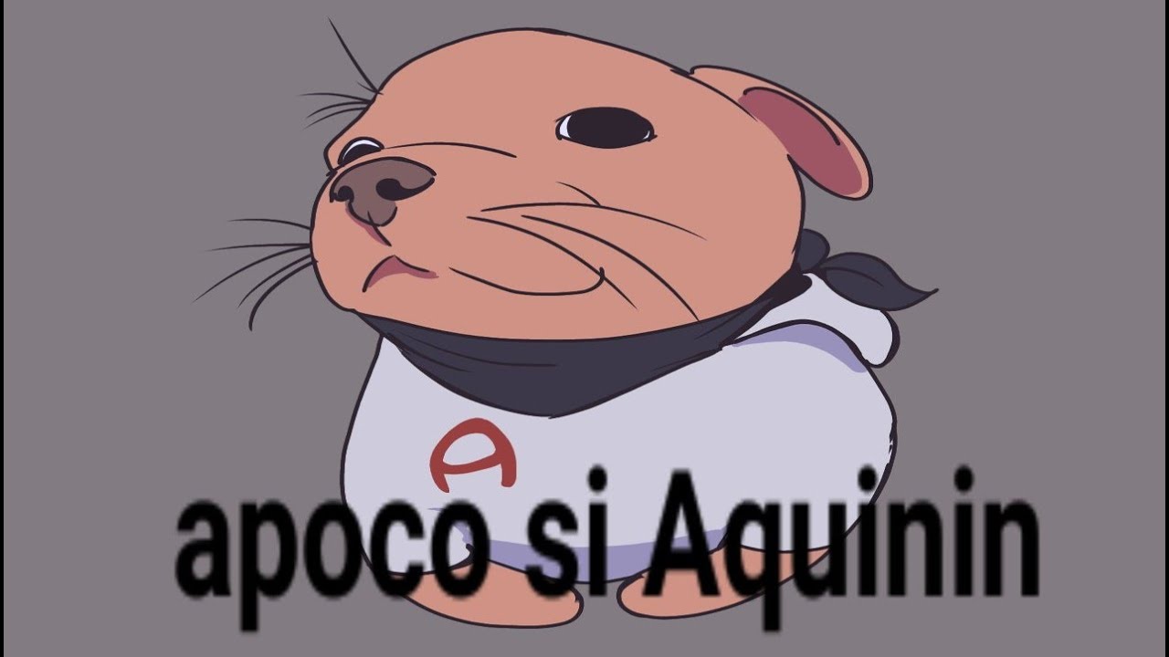 A POCO SI AQUININ - YouTube
