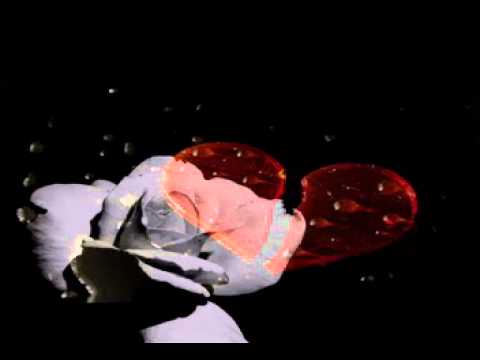 Doktorca Şiirler---Hercai Ve Kardelen---Şiir:Alıntı