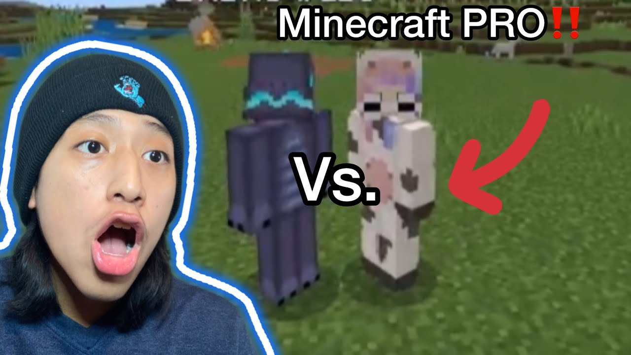 Fighting a Minecraft PRO! - YouTube