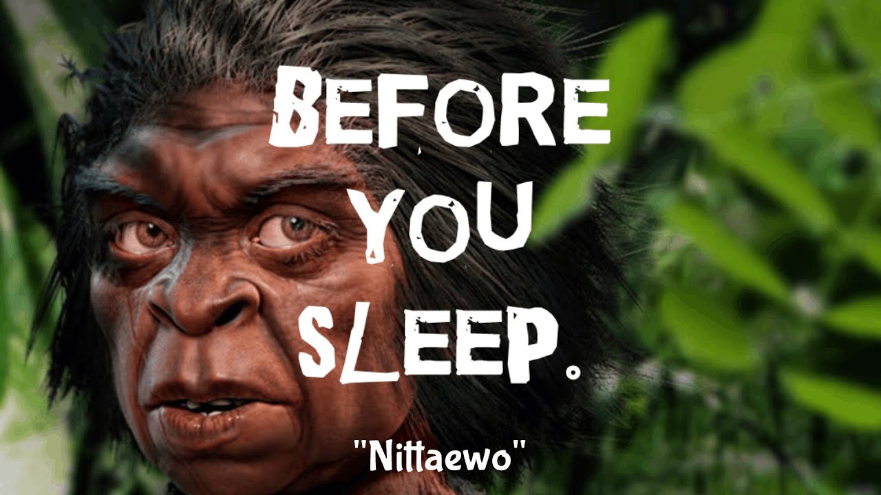 Before You Sleep - Episode 6 " Nittaewo" - YouTube