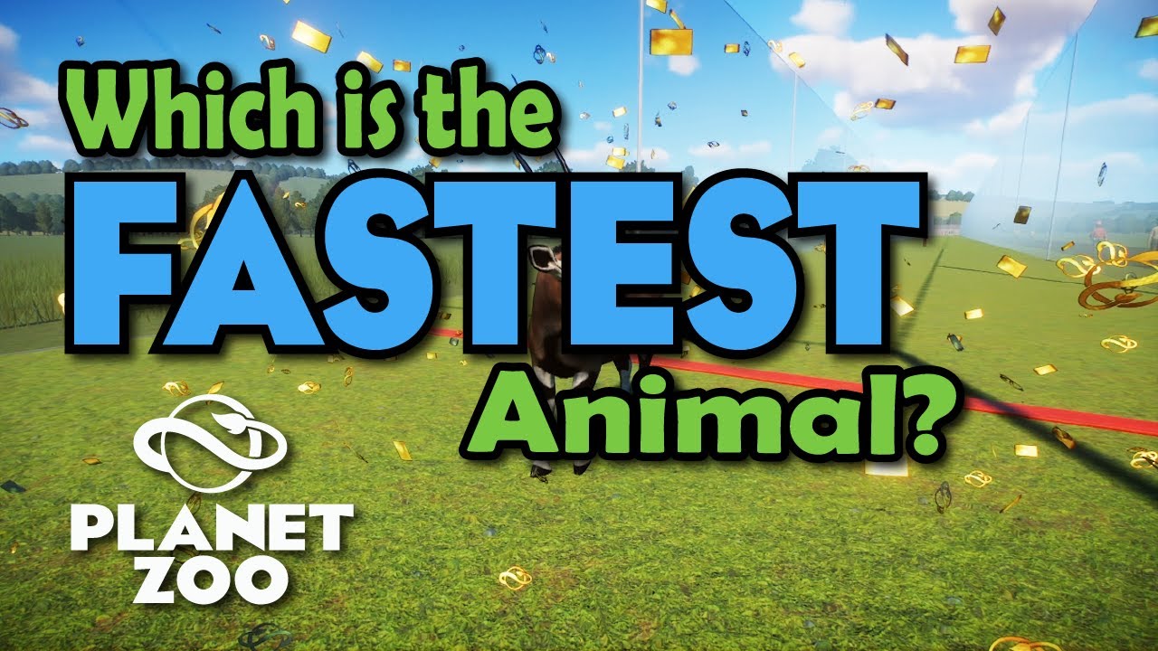 Fastest Animal In The Planet