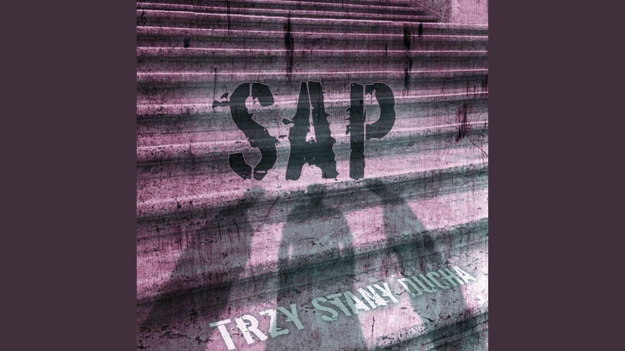 SAP 2 - YouTube
