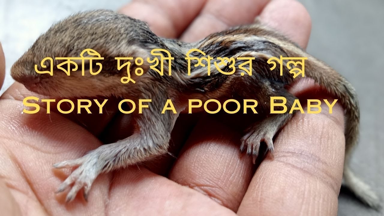 STORY OF A POOR BABY - YouTube