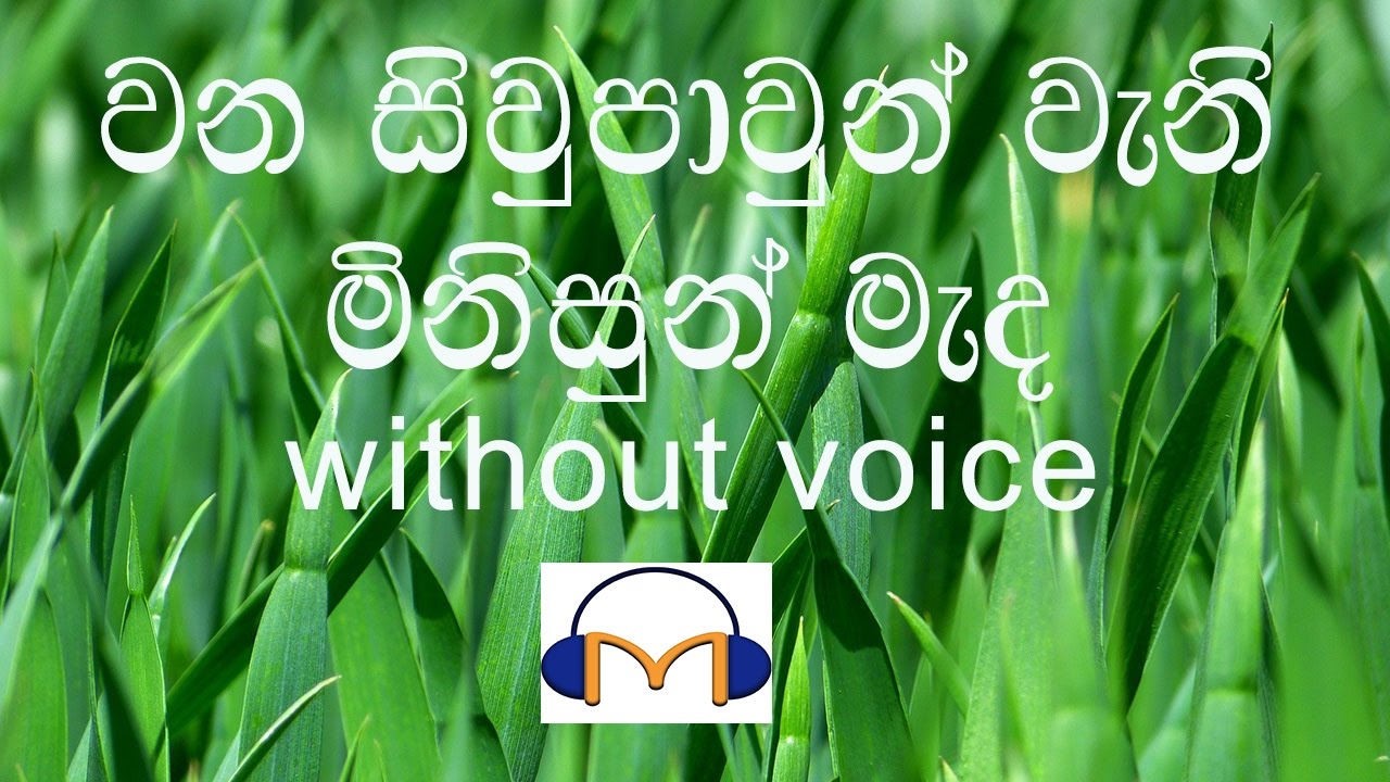 Wana Siwpawun Karaoke වන සිවුපාවුන් වැනි මිනිසුන් මැද Chords - Chordify