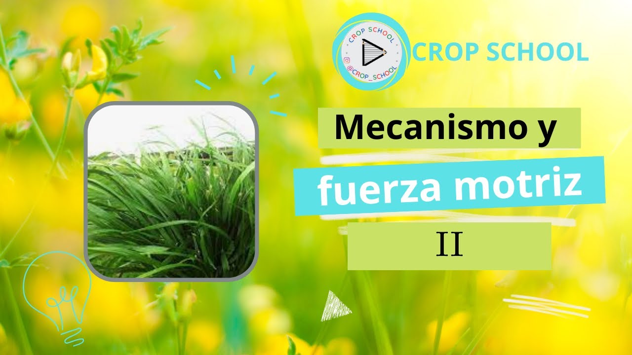 Mecanismo y fuerza motriz II | Fisiología de los cultivos #Agricultura ...